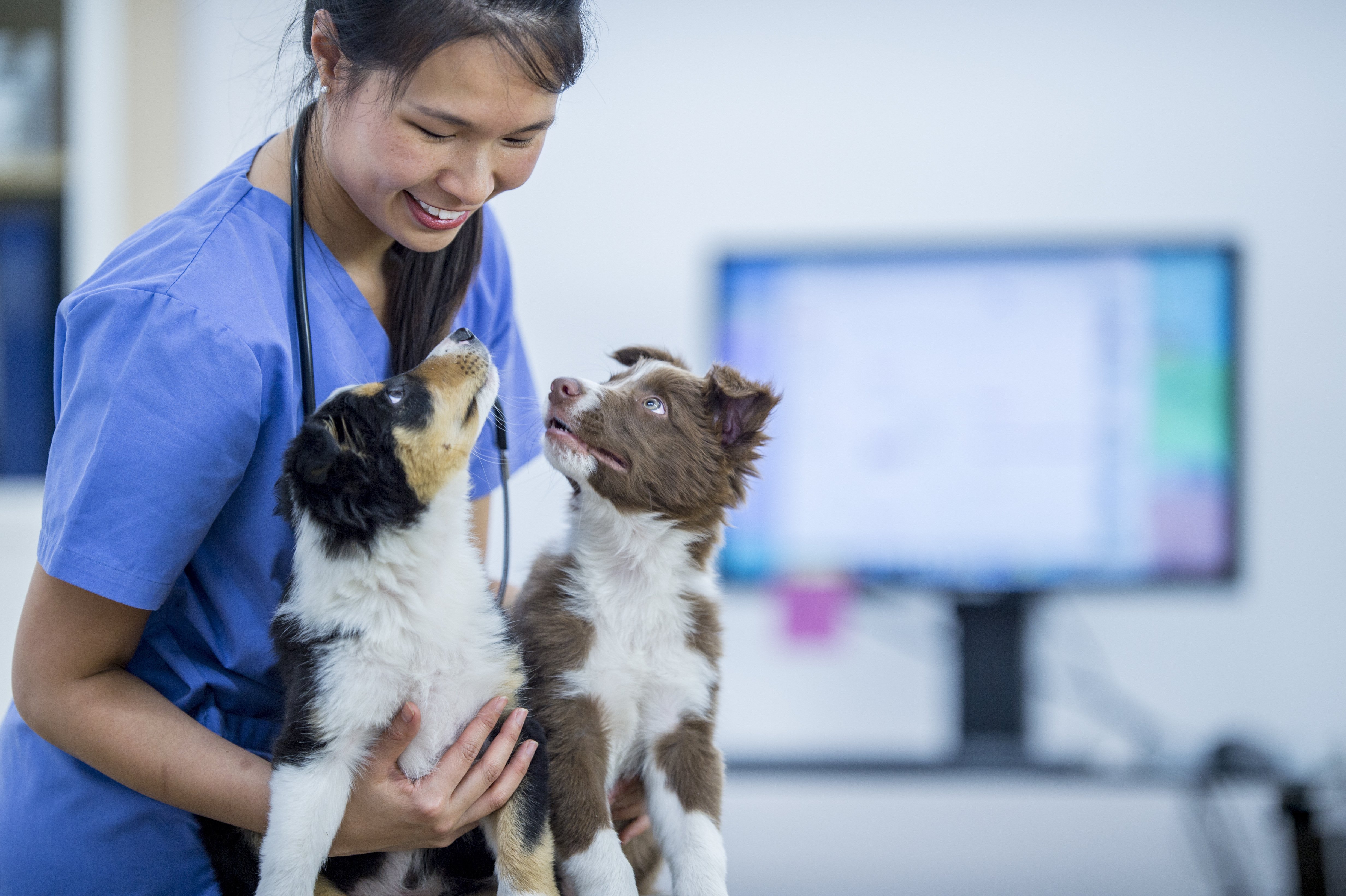 Penn Foster | Veterinary Association Benefits for Individuals